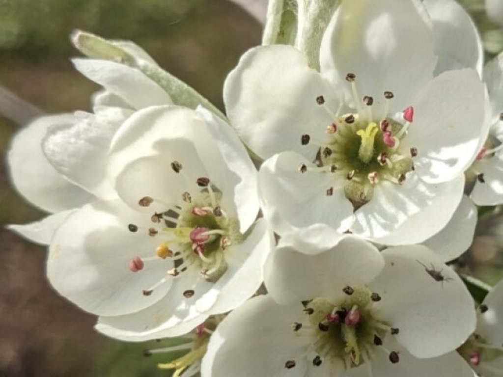 Forstbotanischer Garten - Stadt Köln
