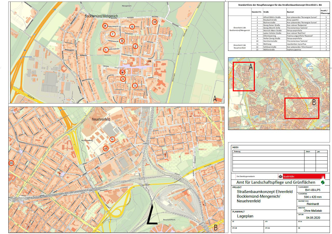 Bäume in der Stadt - Stadt Köln